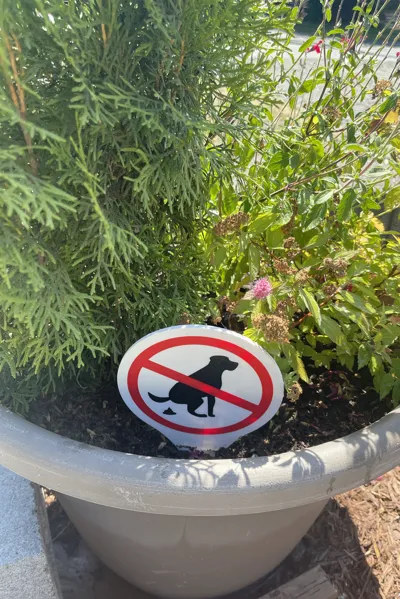 Affiche "Pas de Crottes de Chien" par Augustas MakerWorld : Téléchargez ...