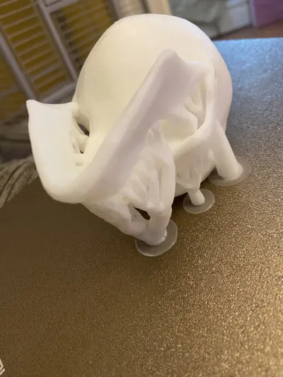 Skull shaped box by MPG71_2023 - MakerWorld