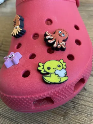 Axolotl croc charm (kids crocs) by Quirkys3dprinting MakerWorld ...