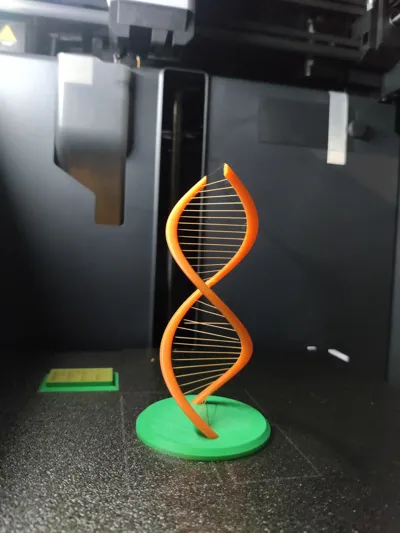Suspended Filament Double Helix by RJ Design MakerWorld: Download Free ...