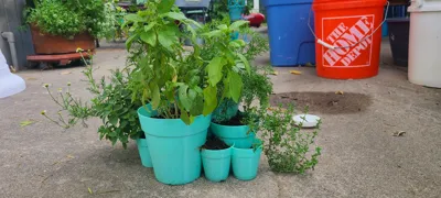 Multi Planter (7 merged planters) by Maanprint - MakerWorld