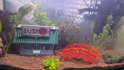 Sushi Shop Aquarium Decoration by Miguel M. MakerWorld: Download Free ...