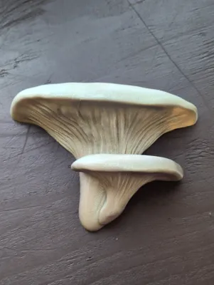 Mushroom Shelf by Shotime369 MakerWorld: Download Free 3D Models