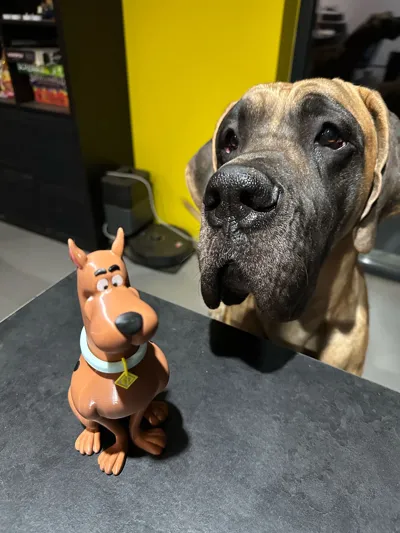 Scooby Doo by reddadsteve MakerWorld: Download Free 3D Models