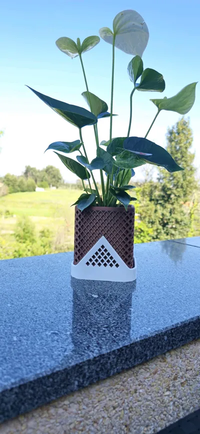 squared polygon planter · polygon plate - Free 3D Print Model - MakerWorld