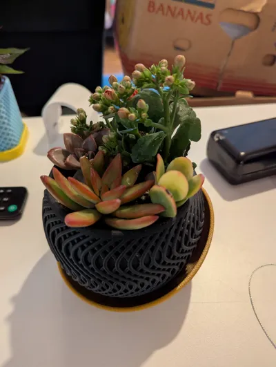 squared polygon planter · polygon plate by h3li0 MakerWorld: Download ...