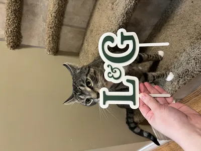 Cake Topper Generator - Free 3D Print Model - MakerWorld