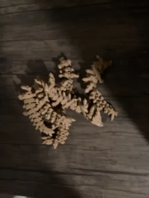 Articulated Shardscale Dragon (16cm) by hollowmaker MakerWorld: Download Free 3D Models