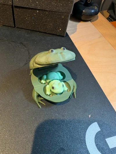 Flexi Frog Fidget in a Toad by scottg MakerWorld: Download Free 3D Models