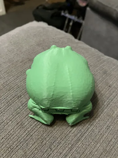 Flexi Frog Fidget in a Toad by scottg MakerWorld: Download Free 3D Models