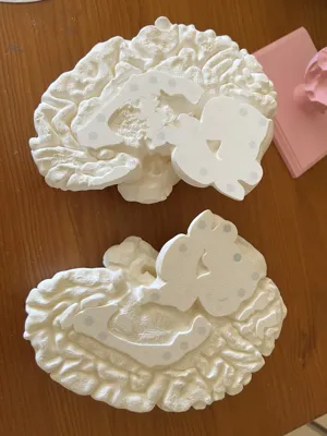 Full-size human brain by Julia Ebert MakerWorld: Download Free 3D Models