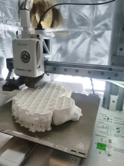 Full-size human brain by Julia Ebert MakerWorld: Download Free 3D Models