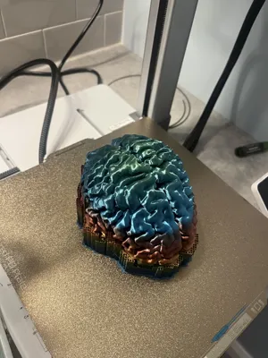 Full-size human brain by Julia Ebert MakerWorld: Download Free 3D Models