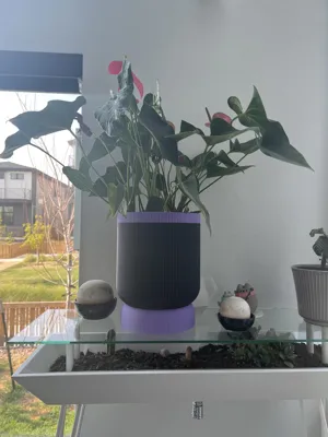 Planter with twist/lock drip tray by SabreDesign - MakerWorld