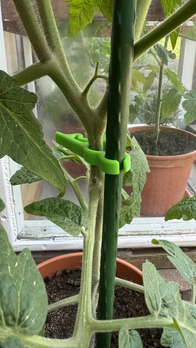 Flower Clip | Grafting Clip | Plant Support |Clamp by Matthew Ghost ...
