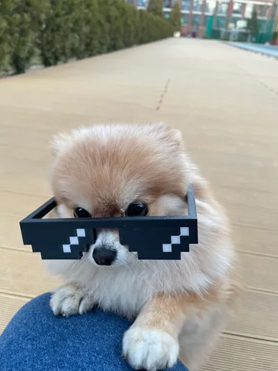 Minecraft Pixel Sunglasses by MaxM MakerWorld: Download Free 3D Models
