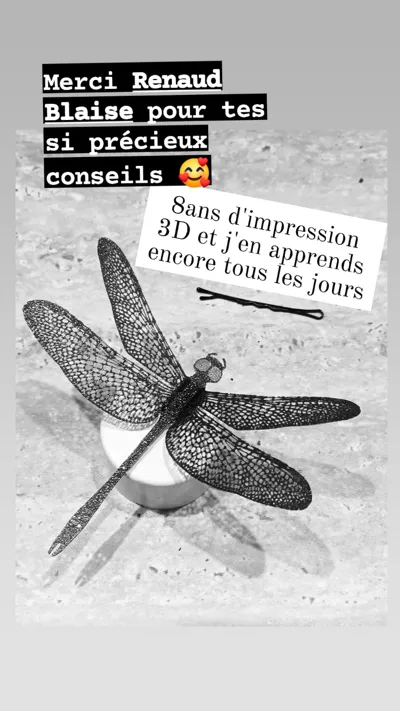 Dragonfly by Jack - MakerWorld