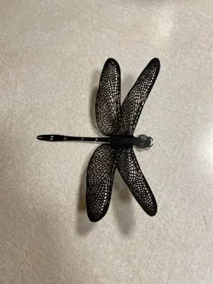 Dragonfly by Jack - MakerWorld