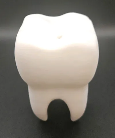 Tooth molar - Free 3D Print Model - MakerWorld