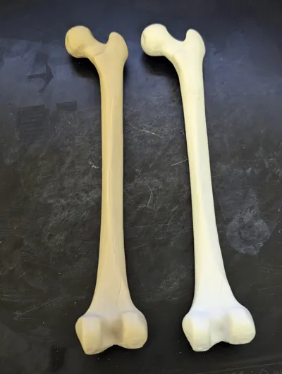 Femur (Thigh Bone) Pen by SH Designs MakerWorld: Download Free 3D Models