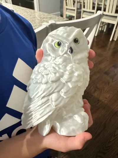 Hedwig from Harry Potter - Free 3D Print Model - MakerWorld