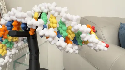DNA Model - Adenine, Thymine, Cytosine, Guanine by shawn.mek MakerWorld ...