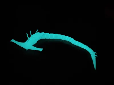 Articulated Ghost Leviathan - Subnautica by MagniModels MakerWorld ...