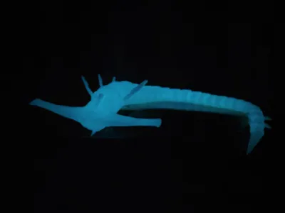 Articulated Ghost Leviathan - Subnautica by MagniModels MakerWorld ...