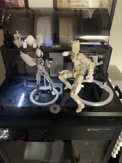 Lady Dummy 13. Female model Remixed by Vasichkin MakerWorld: Download Free 3D Models