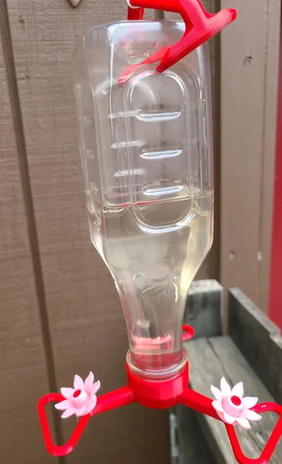 Hummingbird Feeder - Free 3D Print Model - MakerWorld