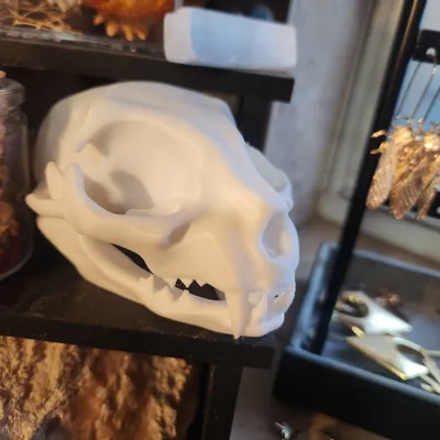 Cat Skull - Easy(ish) Print by jaminv - MakerWorld