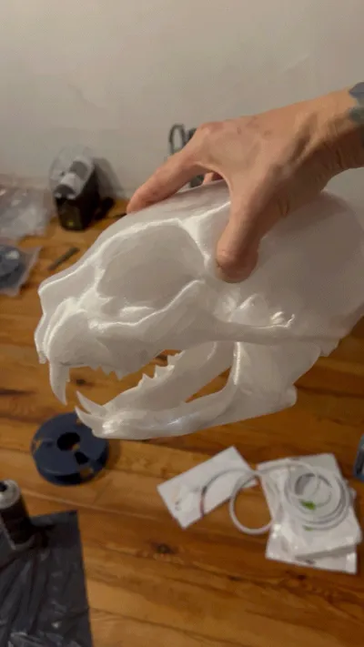 Cat Skull - Easy(ish) Print by jaminv - MakerWorld