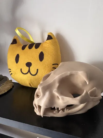Cat Skull - Easy(ish) Print by jaminv - MakerWorld