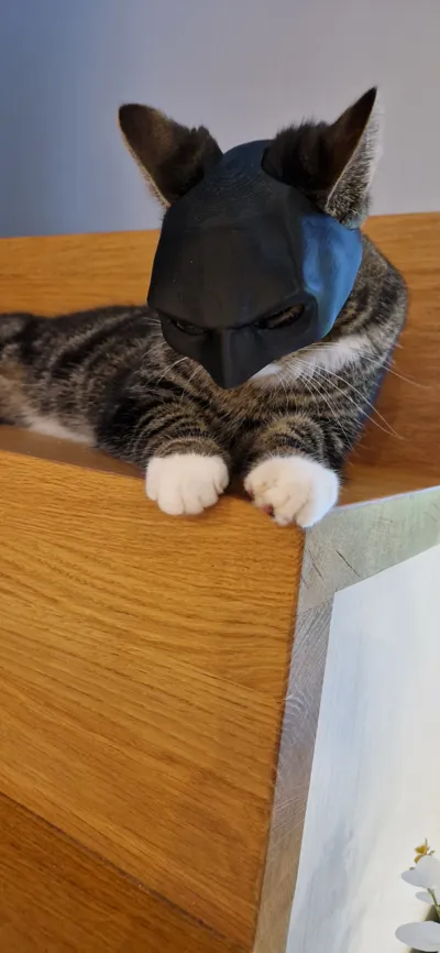 Bat-cat Batman cat mask - EASIER TO PRINT Remixed by V L A D I C ...
