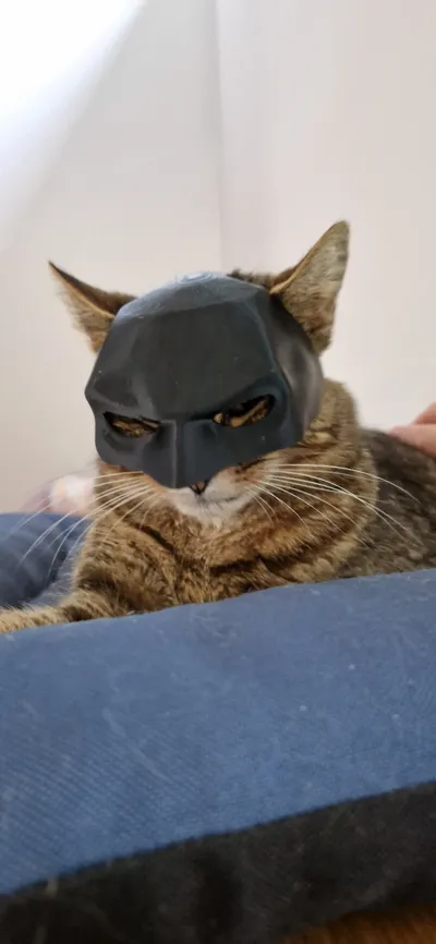 Bat-cat Batman cat mask - EASIER TO PRINT Remixed by V L A D I C ...