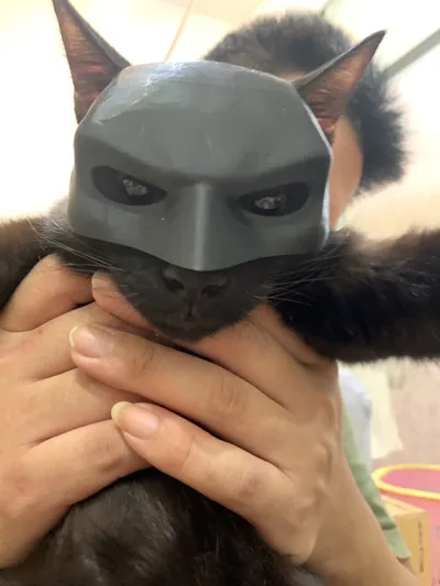 Bat-cat Batman cat mask - EASIER TO PRINT Remixed by V L A D I C ...