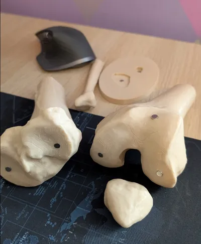 Anatomical Knee Model (from real CT) by TreeD-prints MakerWorld ...