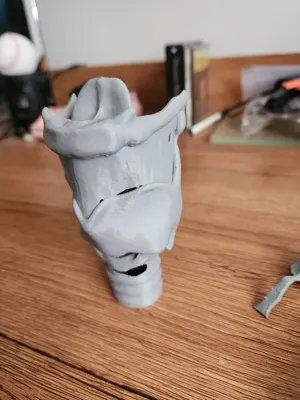 Upper Airway Model by flanker1743 - MakerWorld