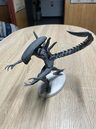 Xenomorph - Pose 1 - Alien by Dungeons And Starships MakerWorld ...