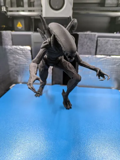 Xenomorph - Pose 1 - Alien by Dungeons And Starships MakerWorld ...