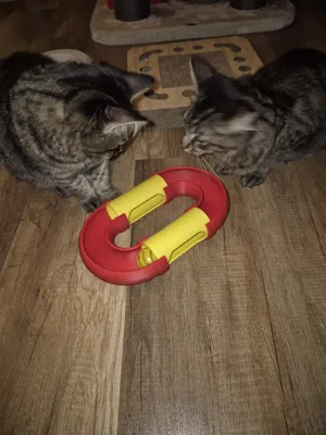 Modular Cat ball track by Travy MakerWorld: Download Free 3D Models