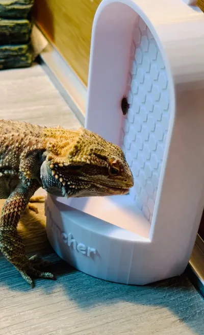 Bug Muncher - Reptile Feeder by Ninjake 3Designs MakerWorld: Download ...