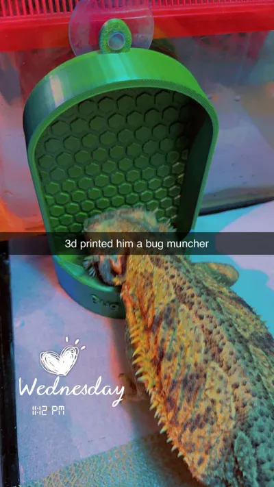 Bug Muncher - Reptile Feeder by Ninjake 3DesignsMakerWorld: Download ...