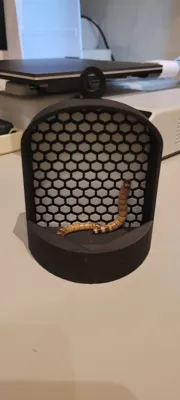 Bug Muncher - Reptile Feeder by Ninjake 3Designs MakerWorld: Download ...