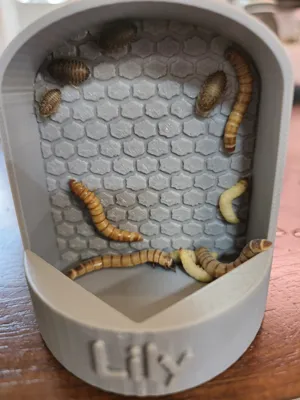 Bug Muncher - Reptile Feeder by Ninjake 3Designs MakerWorld: Download ...