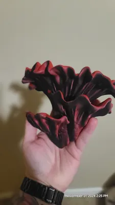 Mushroom shelf, shelf fungi by DublerIno MakerWorld: Download Free 3D ...