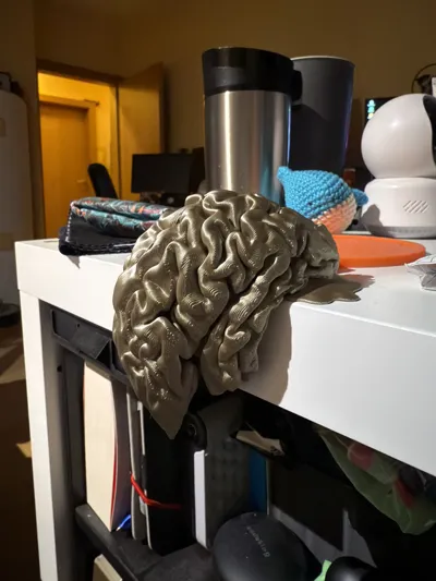 Melting Brain - Decoration for Classroom or Desk by MaKim MakerWorld ...