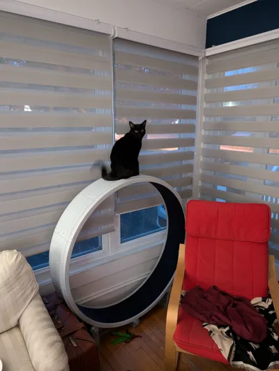 Cat Exercise Wheel by Josh-3D MakerWorld: Download Free 3D Models