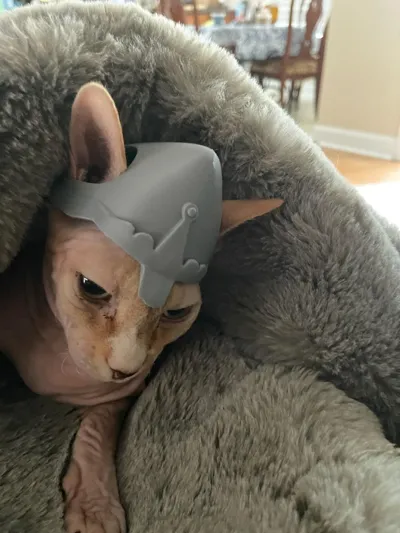 Medieval Cat - Helmet / Casco - Free 3D Print Model - MakerWorld