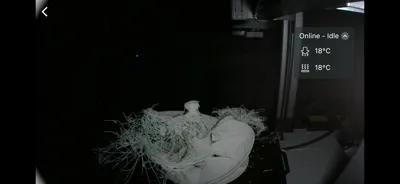 Egg Roll Basket / Eierspender by Der3De - MakerWorld